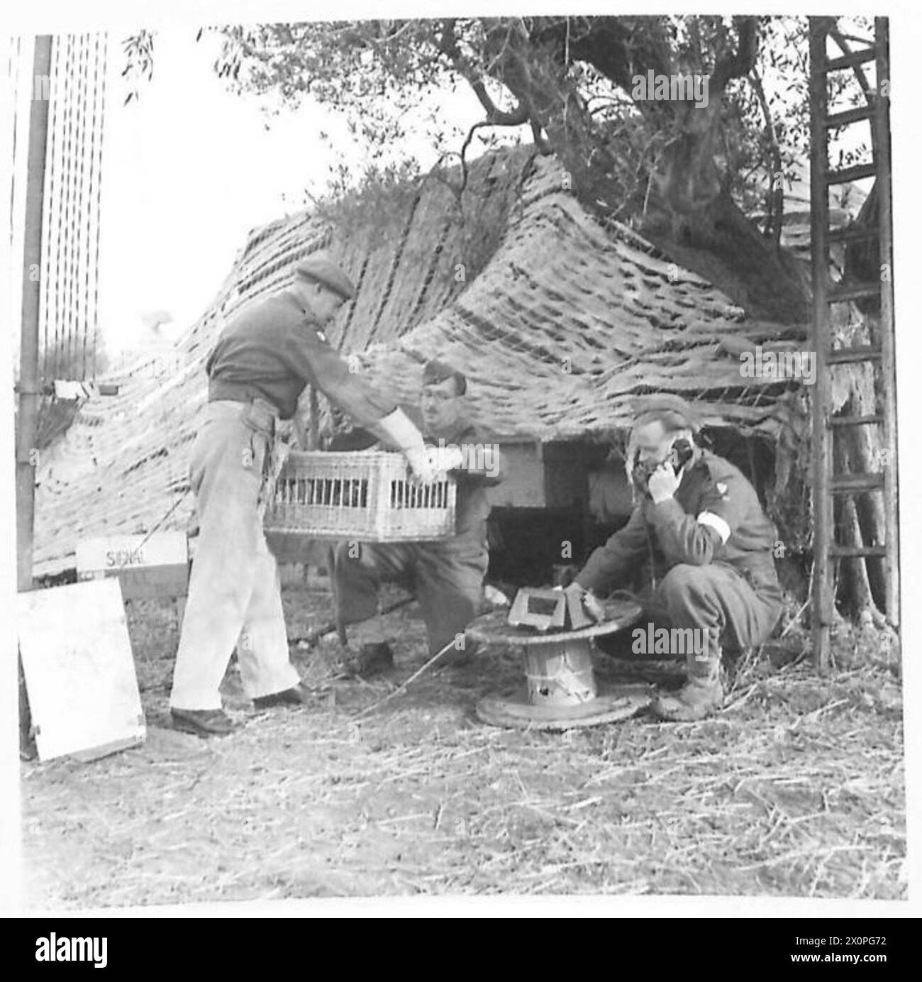 Photograph of Sgt. P.M. Pearson of the Royal Signals handing carrier ...