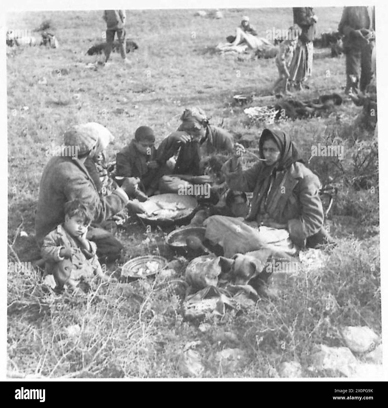 German bulgarian Cut Out Stock Images & Pictures - Alamy