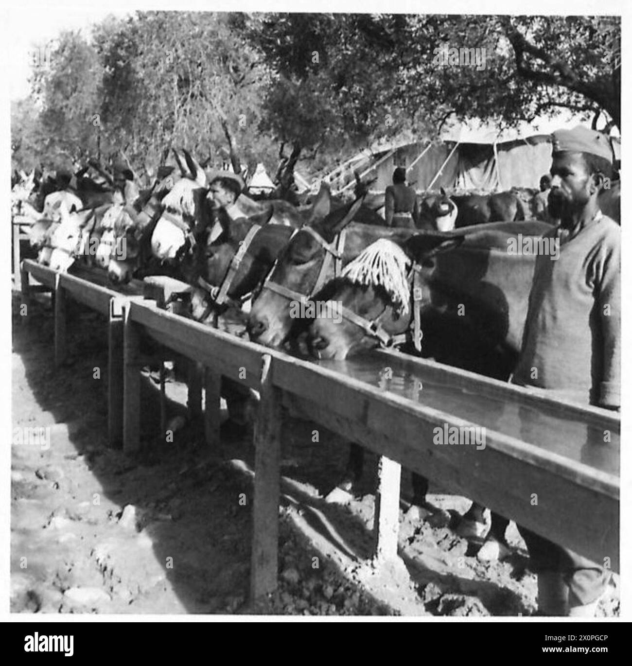 Indian soldier 1943 hi-res stock photography and images - Alamy