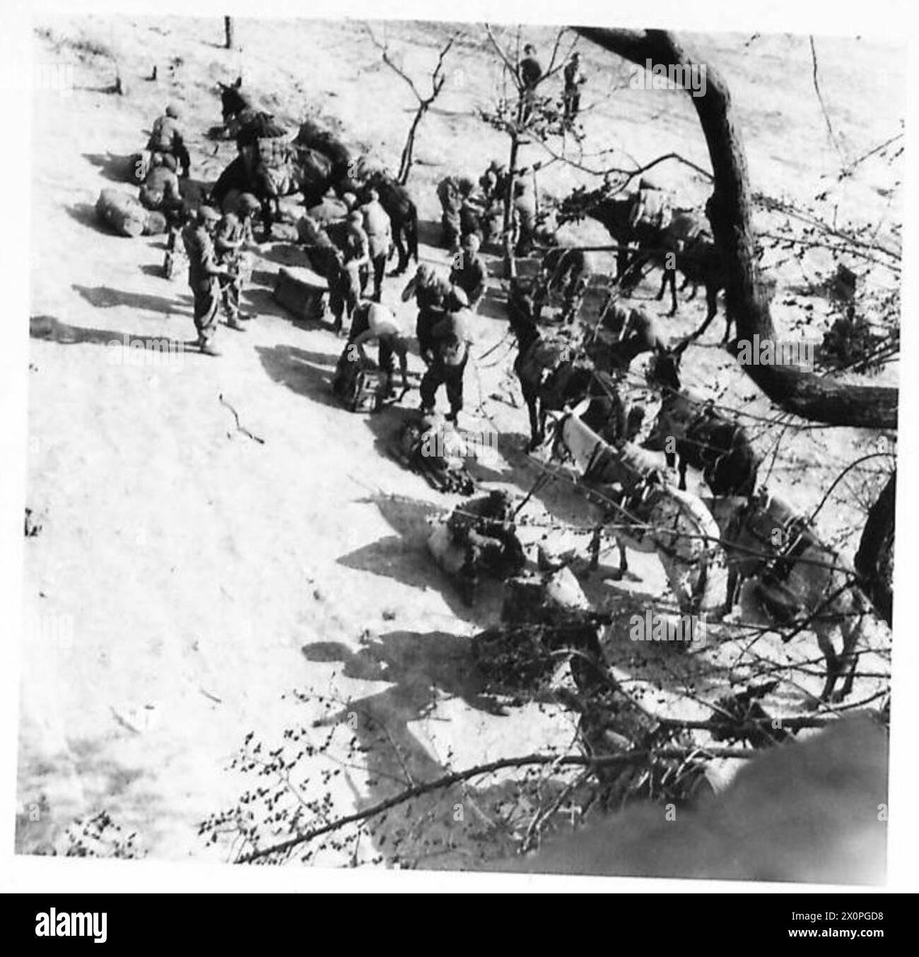 British army troops load Cut Out Stock Images & Pictures - Alamy