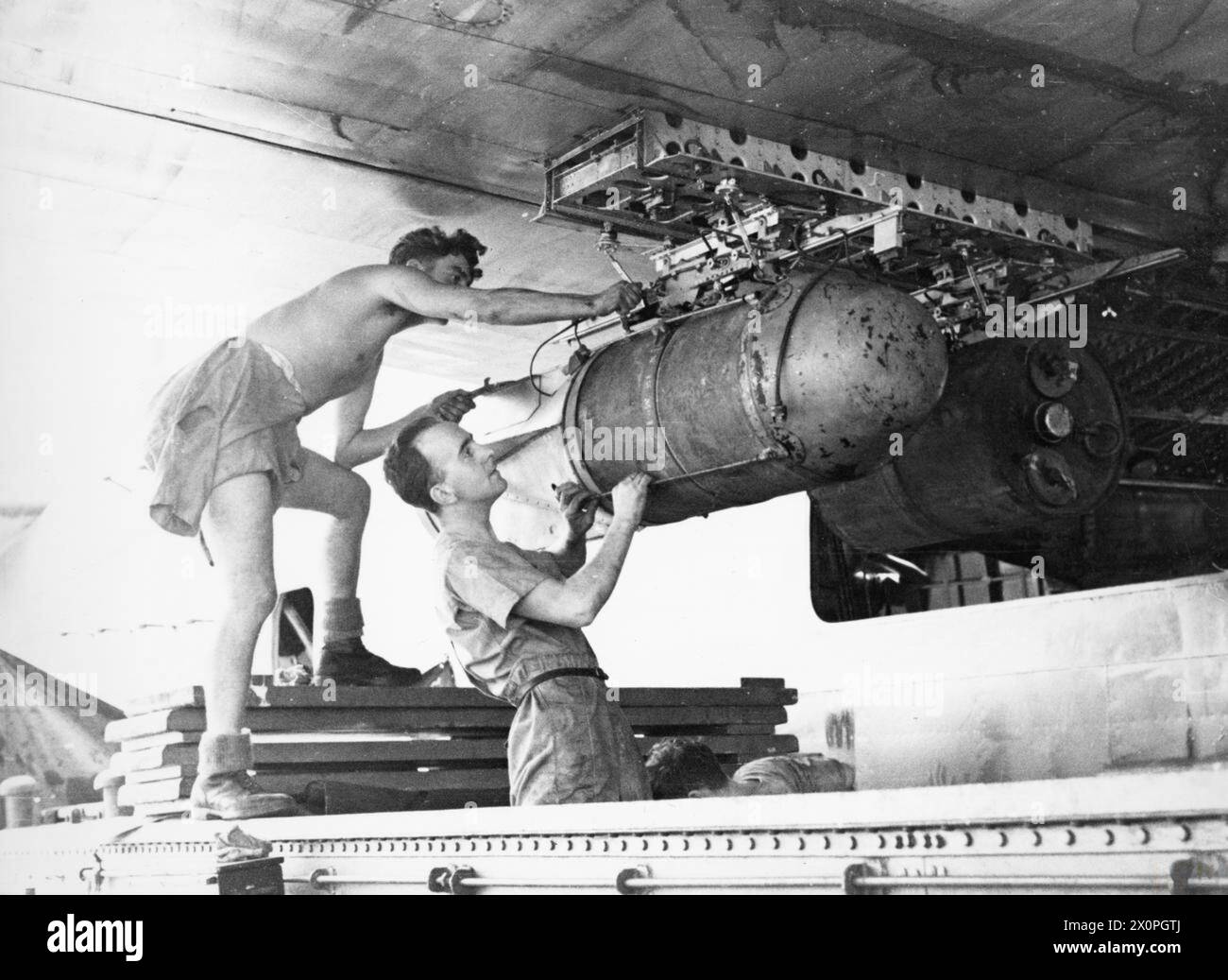 Detachable tail hi-res stock photography and images - Alamy