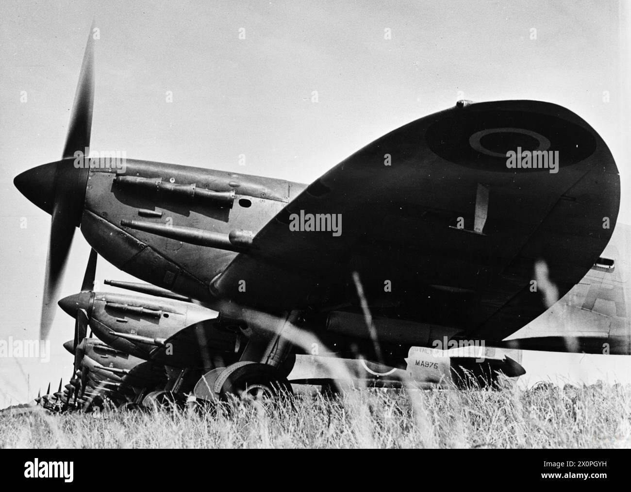 Supermarine seafires hi-res stock photography and images - Alamy