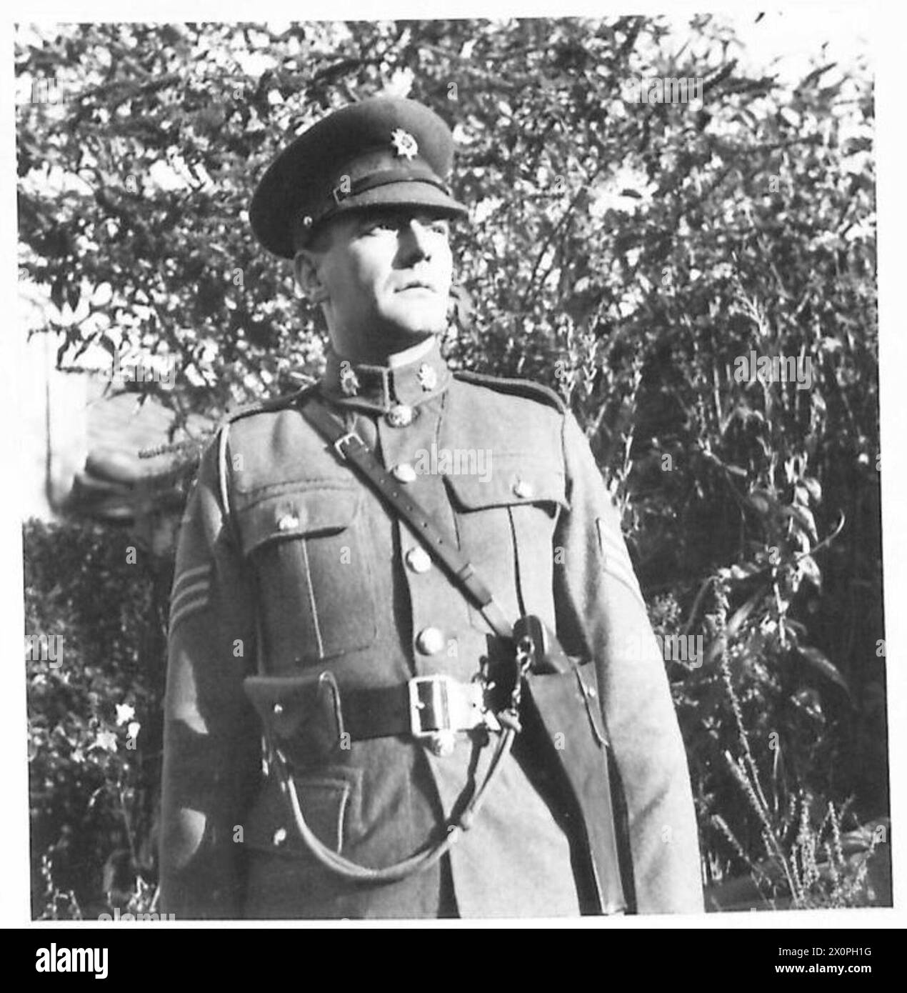 SERGEANT WELLES OF THE ROYAL ARMY SERVICE CORPS - Sergeant Welles of ...