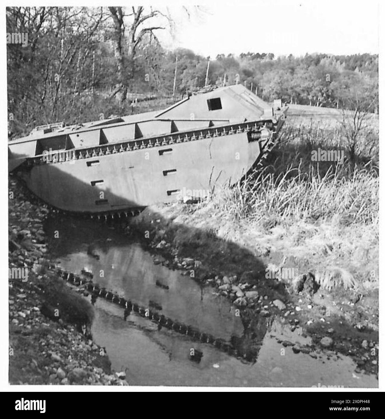 AMPHIBIAN "ALLIGATORS" - On land, the Alligator can traverse rough ...