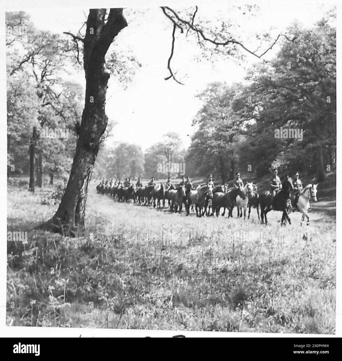 Soldiers riding one horse hi-res stock photography and images - Alamy