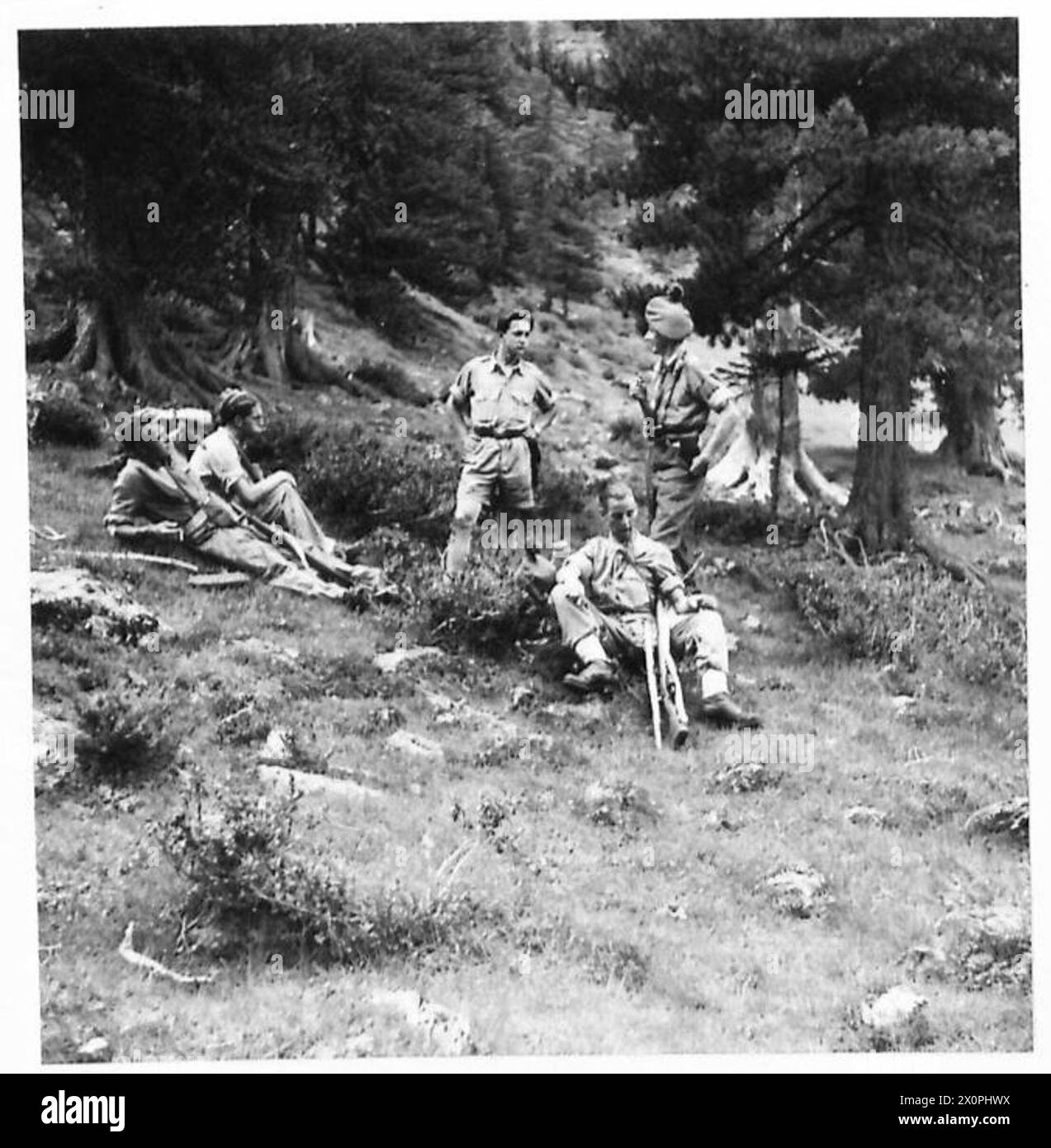 More frequent Cut Out Stock Images & Pictures - Alamy