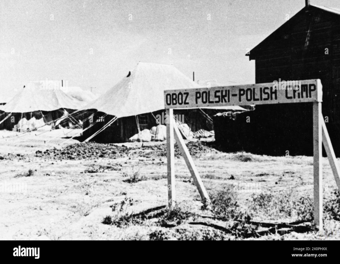 THE POLISH FORCES IN THE MIDDLE EAST, 1942-1943 - Camp of the Polish ...