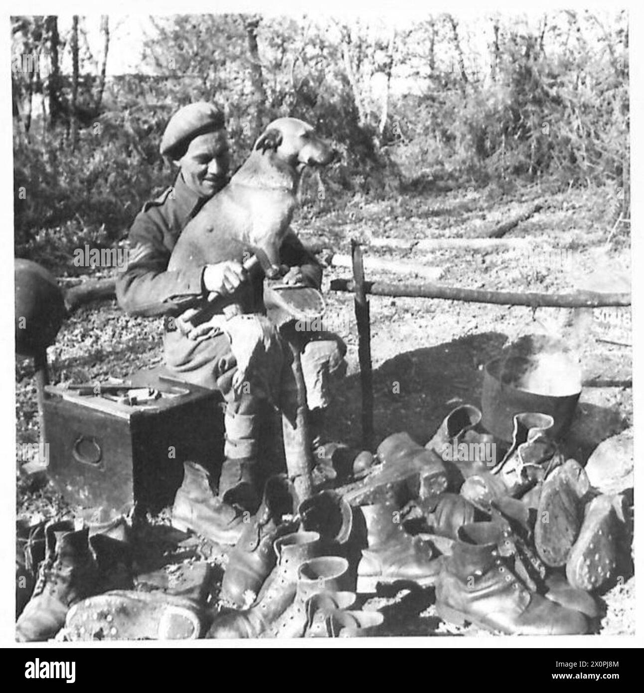 A captured German police dog named Tara is adopted by L/Sgt. Harding ...