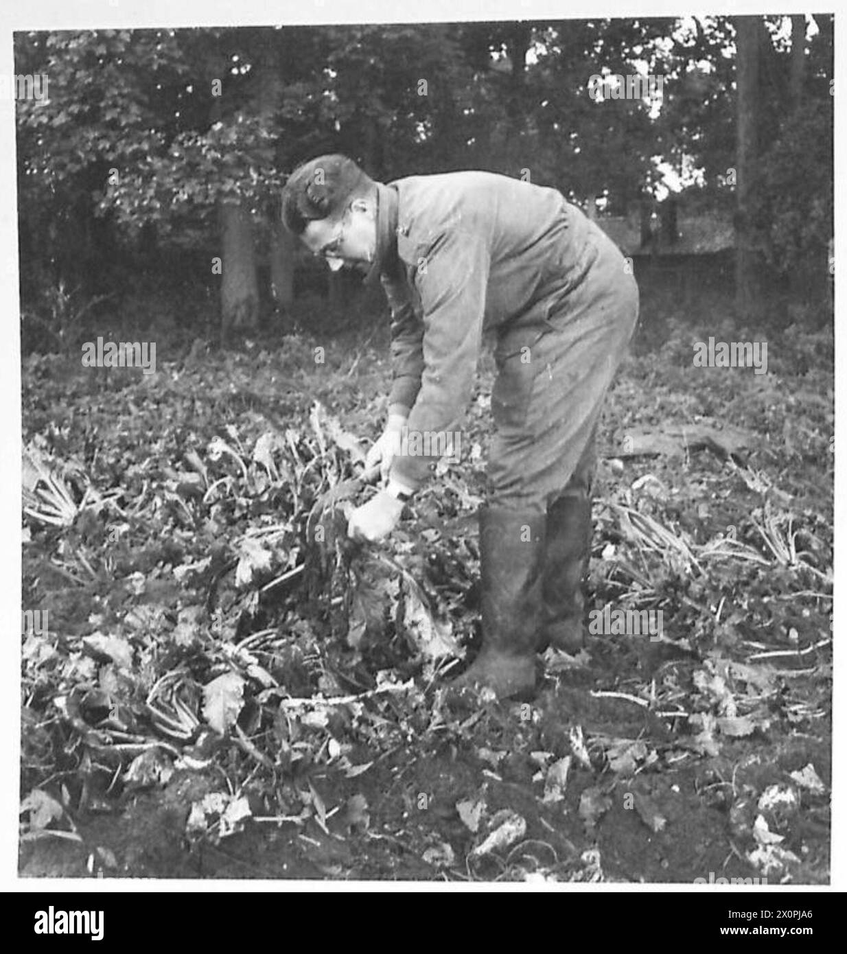 Transportation command Black and White Stock Photos & Images - Alamy