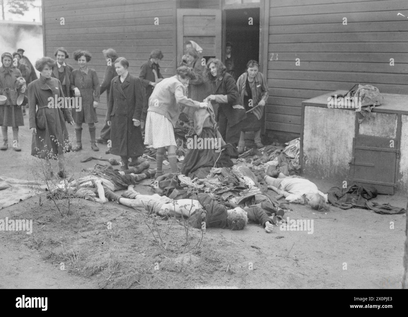 Women inmates remove clothing from deceased prisoners at Bergen-Belsen ...