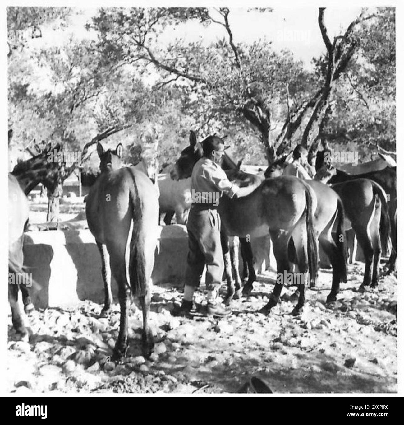 Slapping back Black and White Stock Photos & Images - Alamy