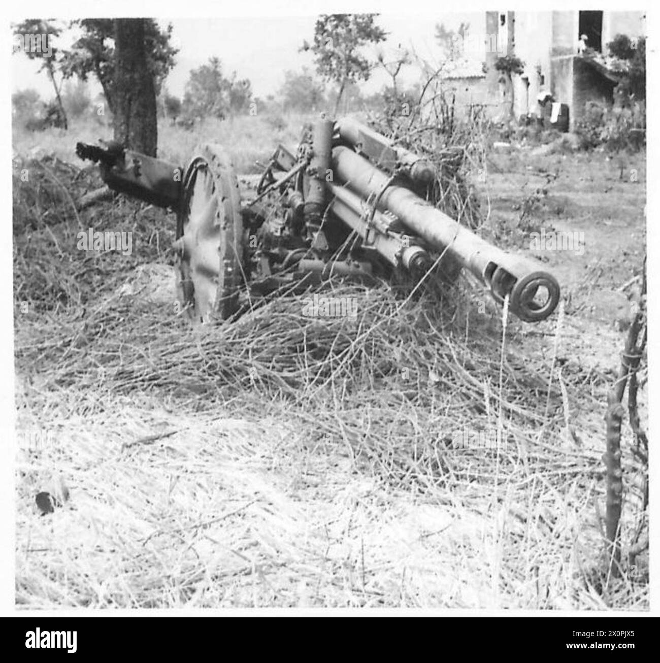 EIGHTH ARMY : VARIOUS - A German field gun destroyed by the blast from ...