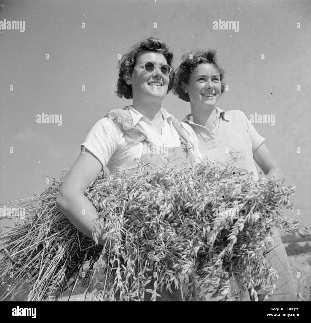 Joan and Ivy Day, Land Girl sisters, pause during oat harvest on Hollow ...