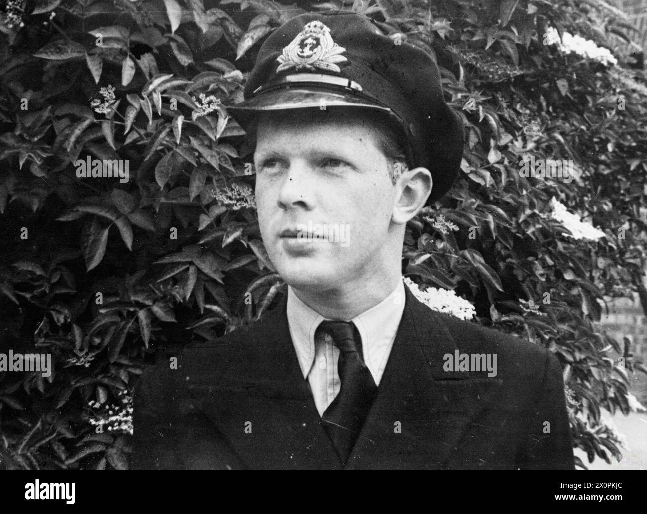 Naval pilots of a Seafire Wing, including Sub Lieutenant D.W ...