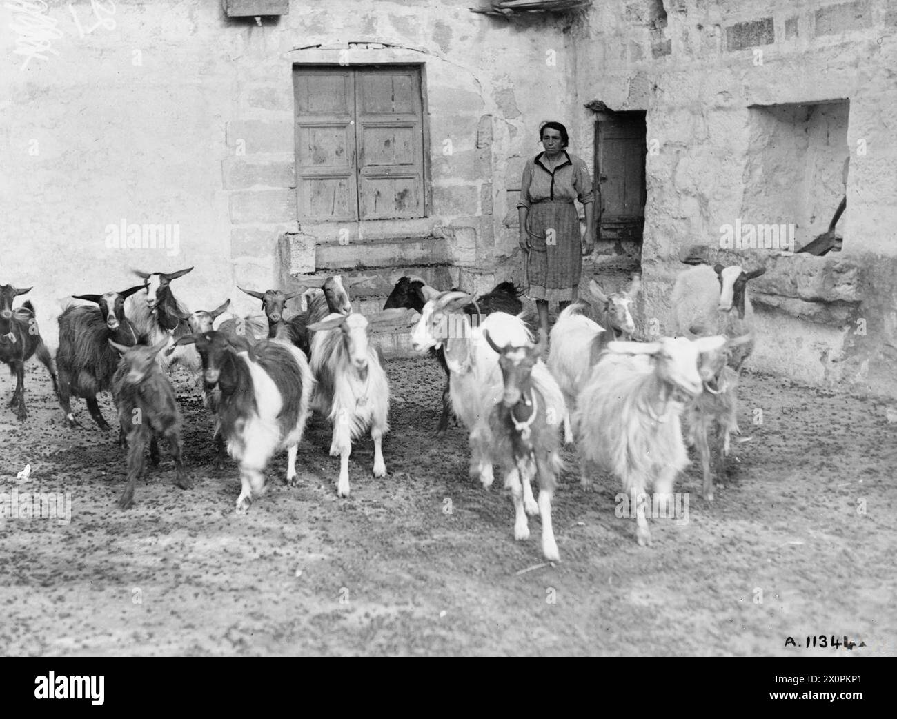 MALTA'S BRAVE VISAGE: EVERYDAY LIFE ON THE GEORGE CROSS ISLAND. 17 ...
