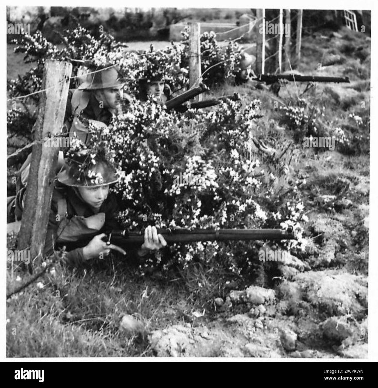 Photographic branches Black and White Stock Photos & Images - Alamy