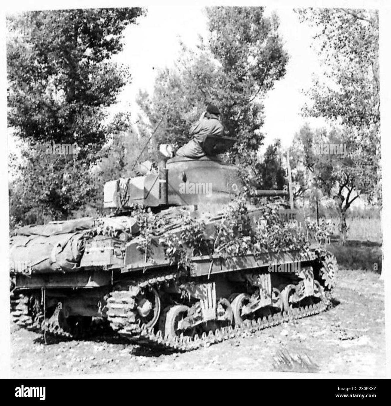 THE BRITISH ARMY IN NORTH AFRICA, SICILY, ITALY, THE BALKANS AND ...