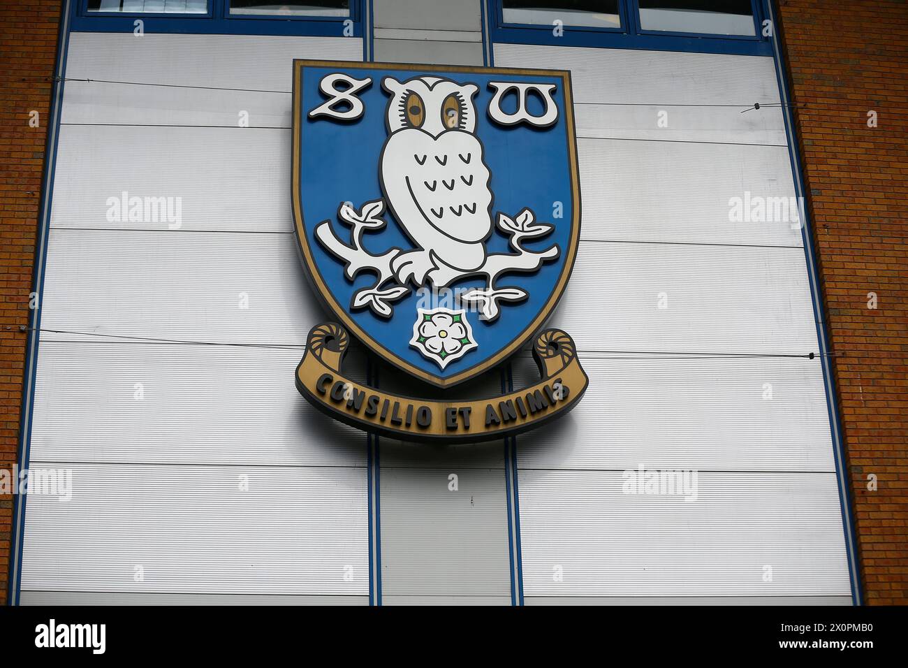 Hillsborough Stadium, Sheffield, England - 13th April 2024 Sheffield ...