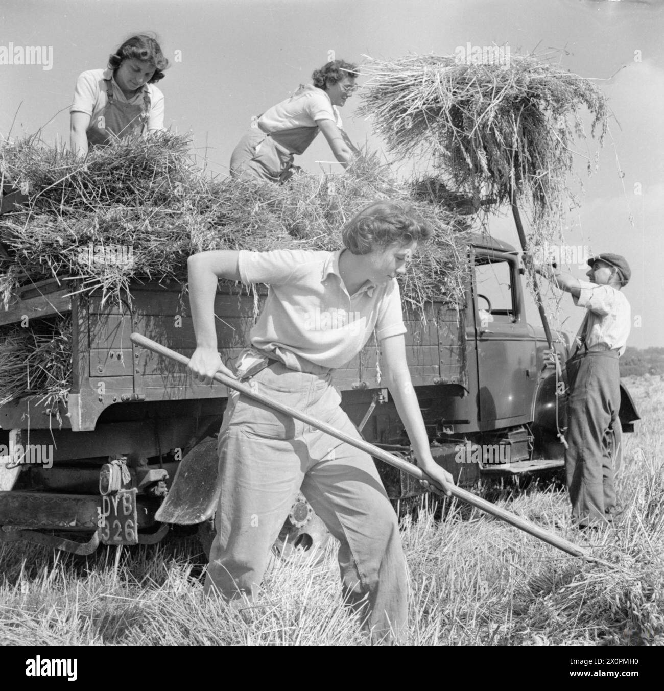 HARVESTING AT MOUNT BARTON, DEVON, ENGLAND, 1942 - Land Girls Joan Day, her sister Ivy, and Iris ...