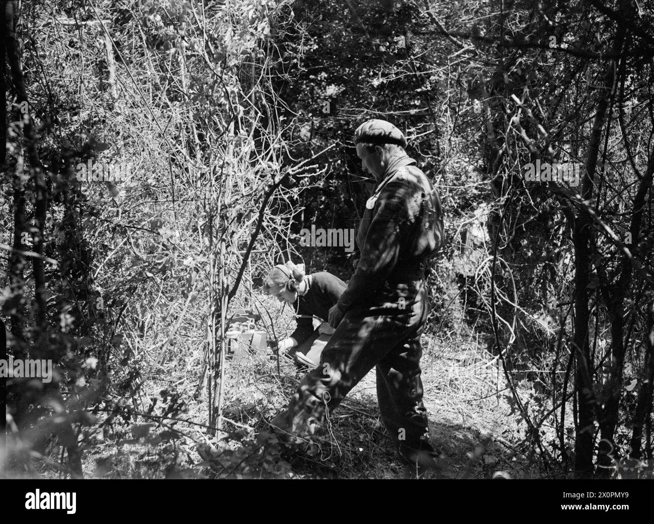 THE ROYAL NAVY DURING THE SECOND WORLD WAR: THE CAMPAIGN IN NORMANDY ...
