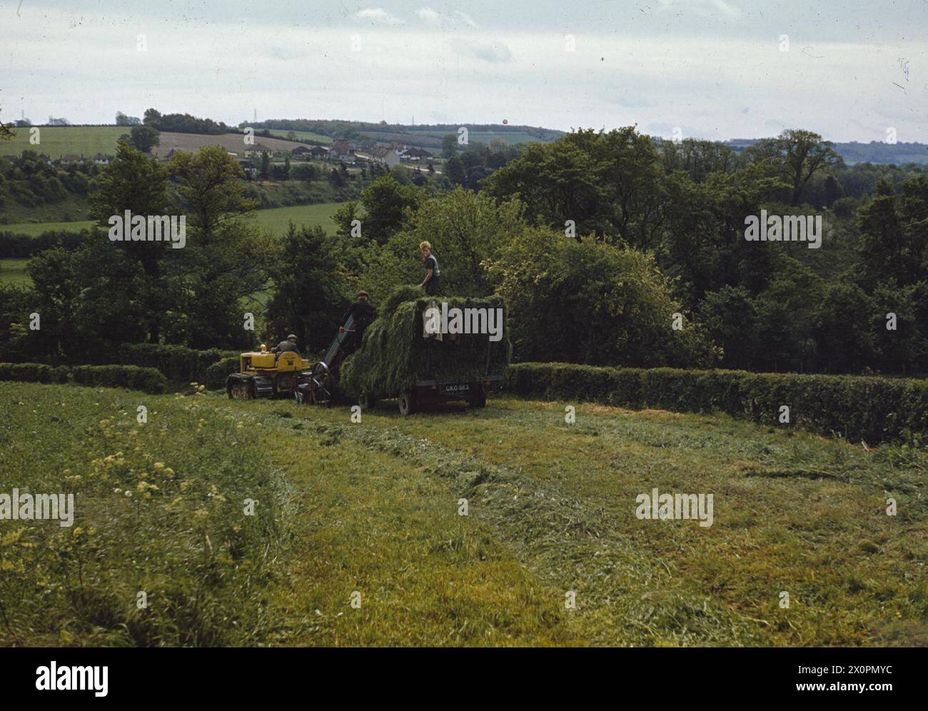 FARMING IN BRITAIN DURING THE SECOND WORLD WAR - On William Alexander's ...