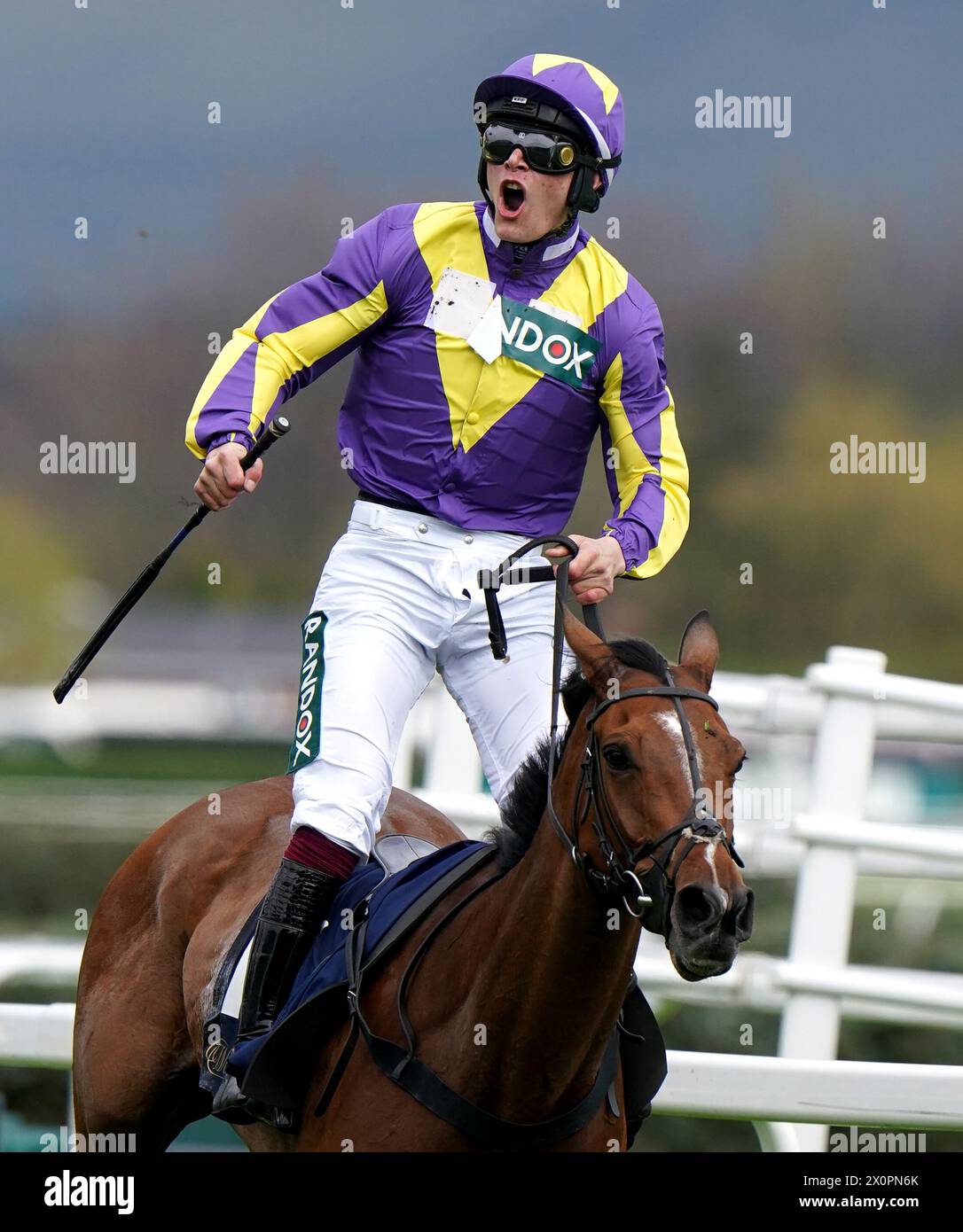 Charlie Todd aboard Gwennie May Boy after winning the William Hill ...