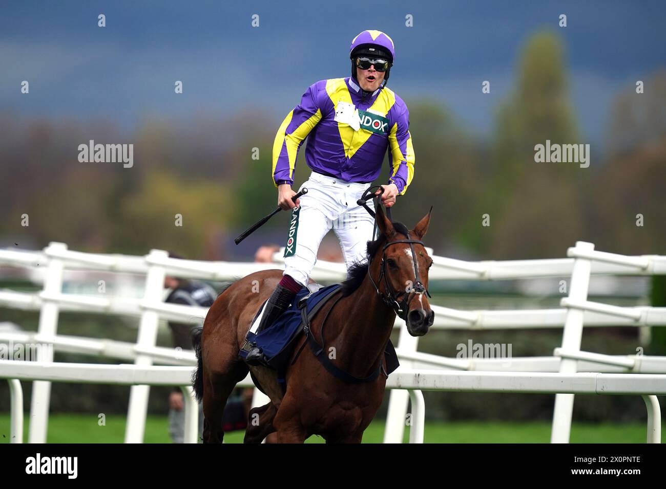 Jockey Charlie Todd celebrates winning the William Hill Handicap Hurdle ...