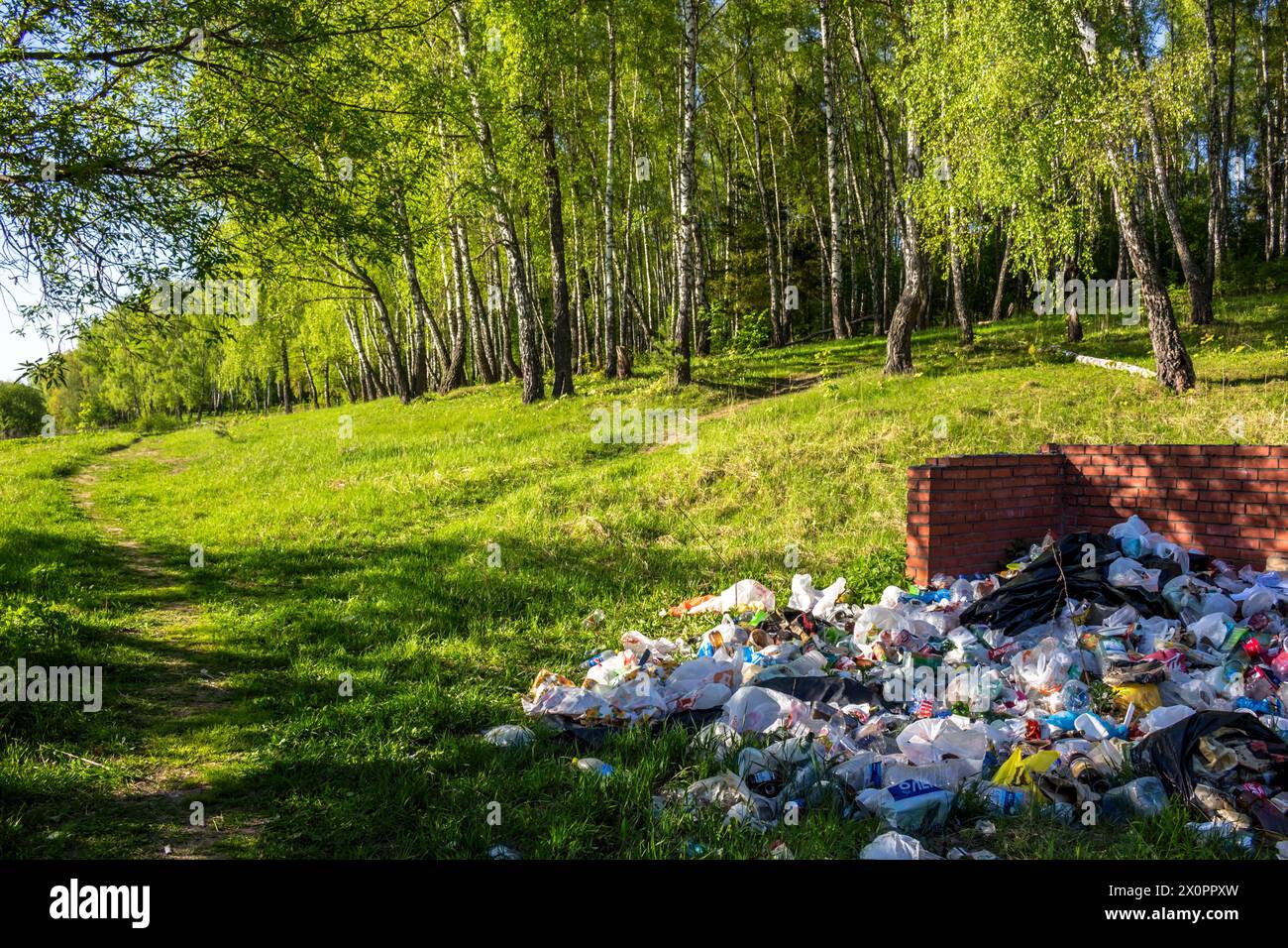 A large pile of garbage in the background of a beautiful landscape, a ...
