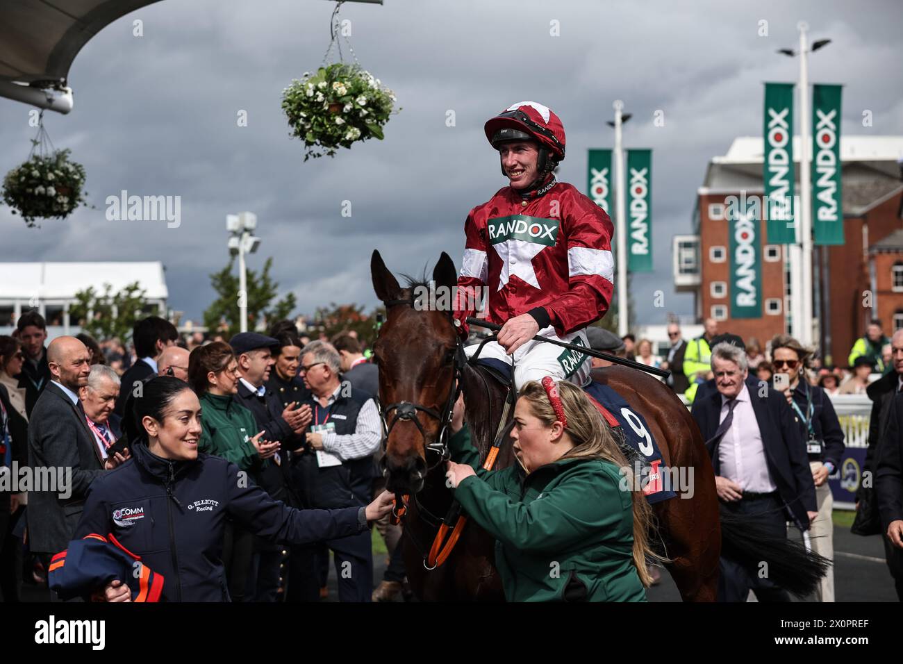 Brighterdaysahead horse horse hi-res stock photography and images - Alamy