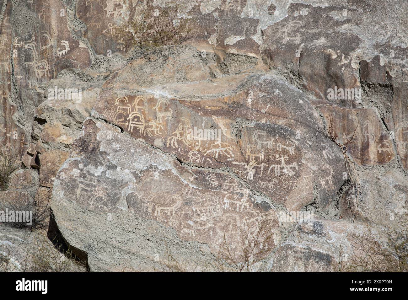 Prehistoric Petroglyphs in Hunza valley, sacred rock of Hunza, rock ...