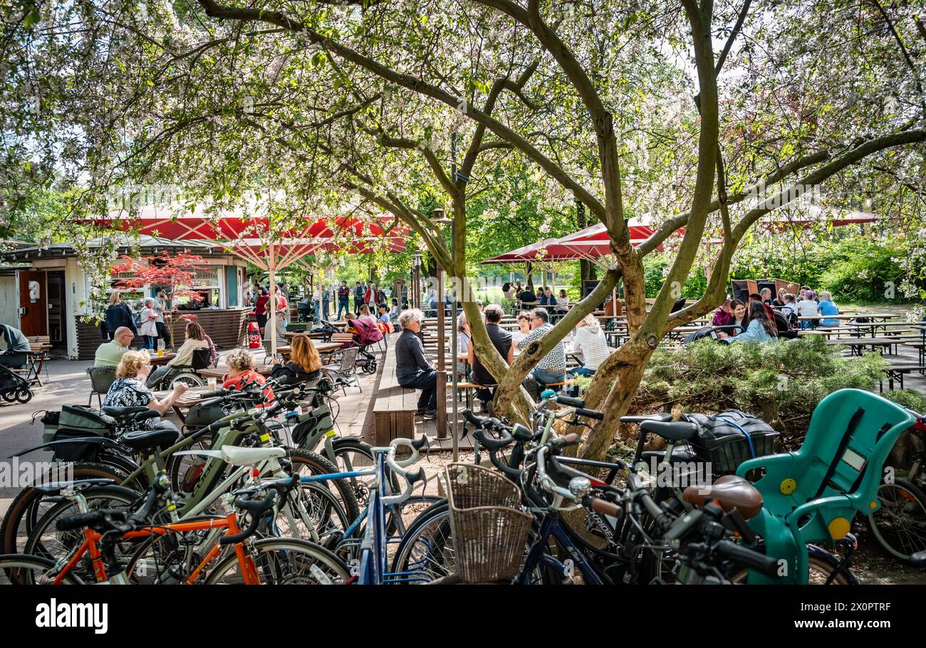 Berlin Pankow, Park Bürgerpark Pankow am Fluss Panke - 13.04.2024 ...