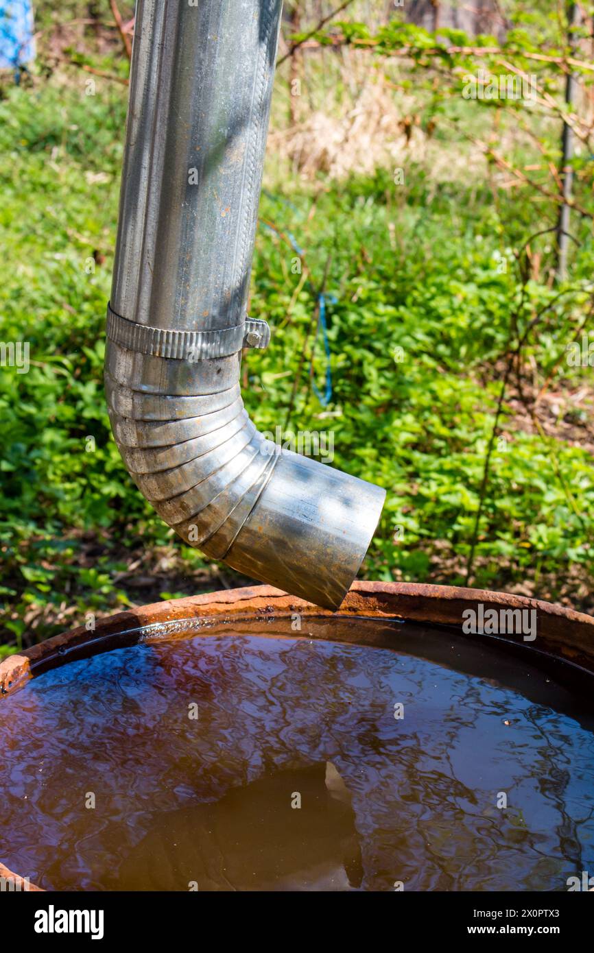 Rainwater in a large barrel, rainwater pipe Stock Photo - Alamy