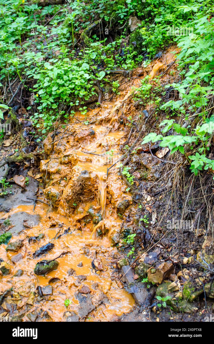 Brown liquid drains into a ravine in the forest. Ferrous mineral ...