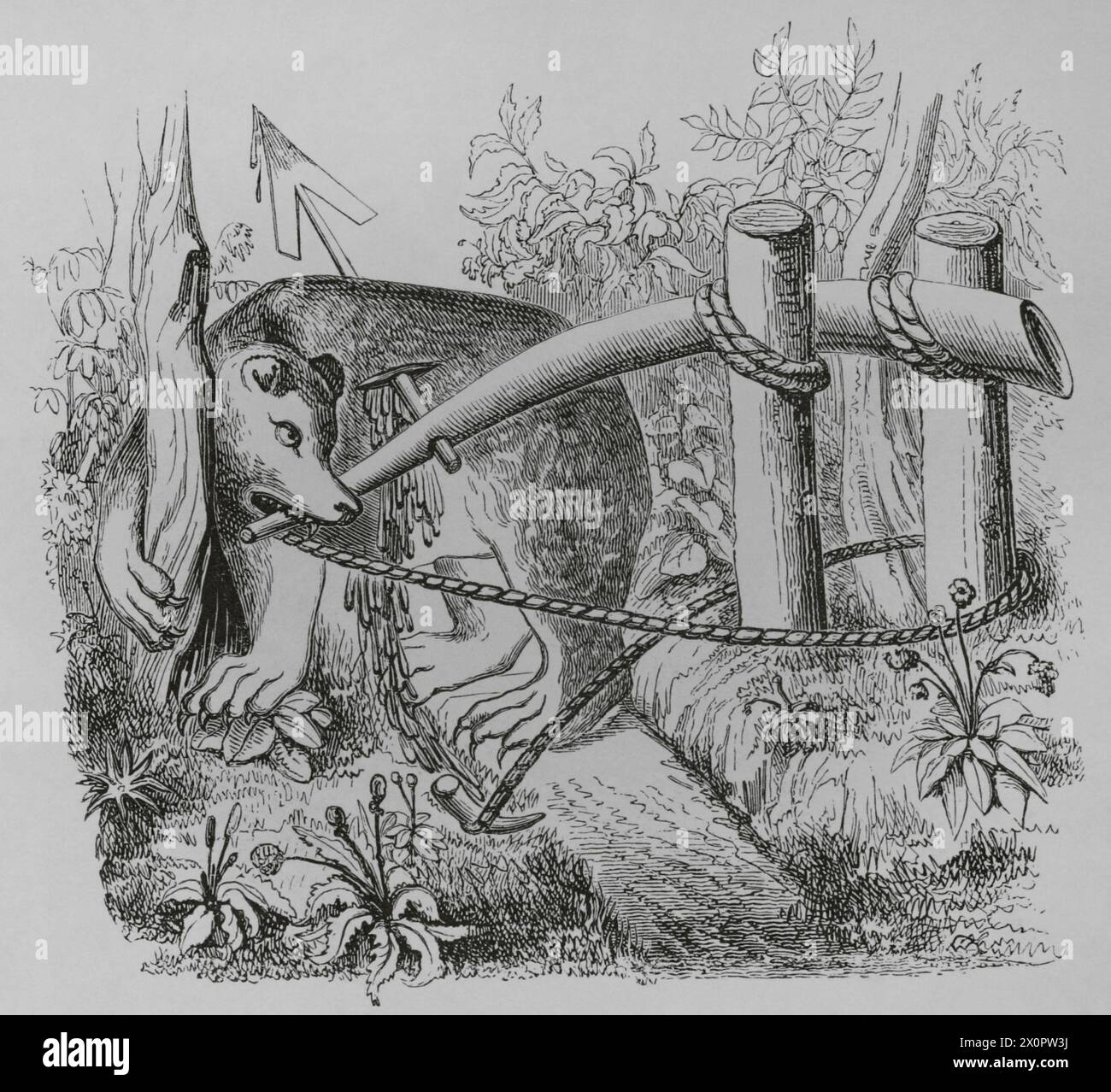 How bears and other beasts may be caught with a dart. 19th century ...