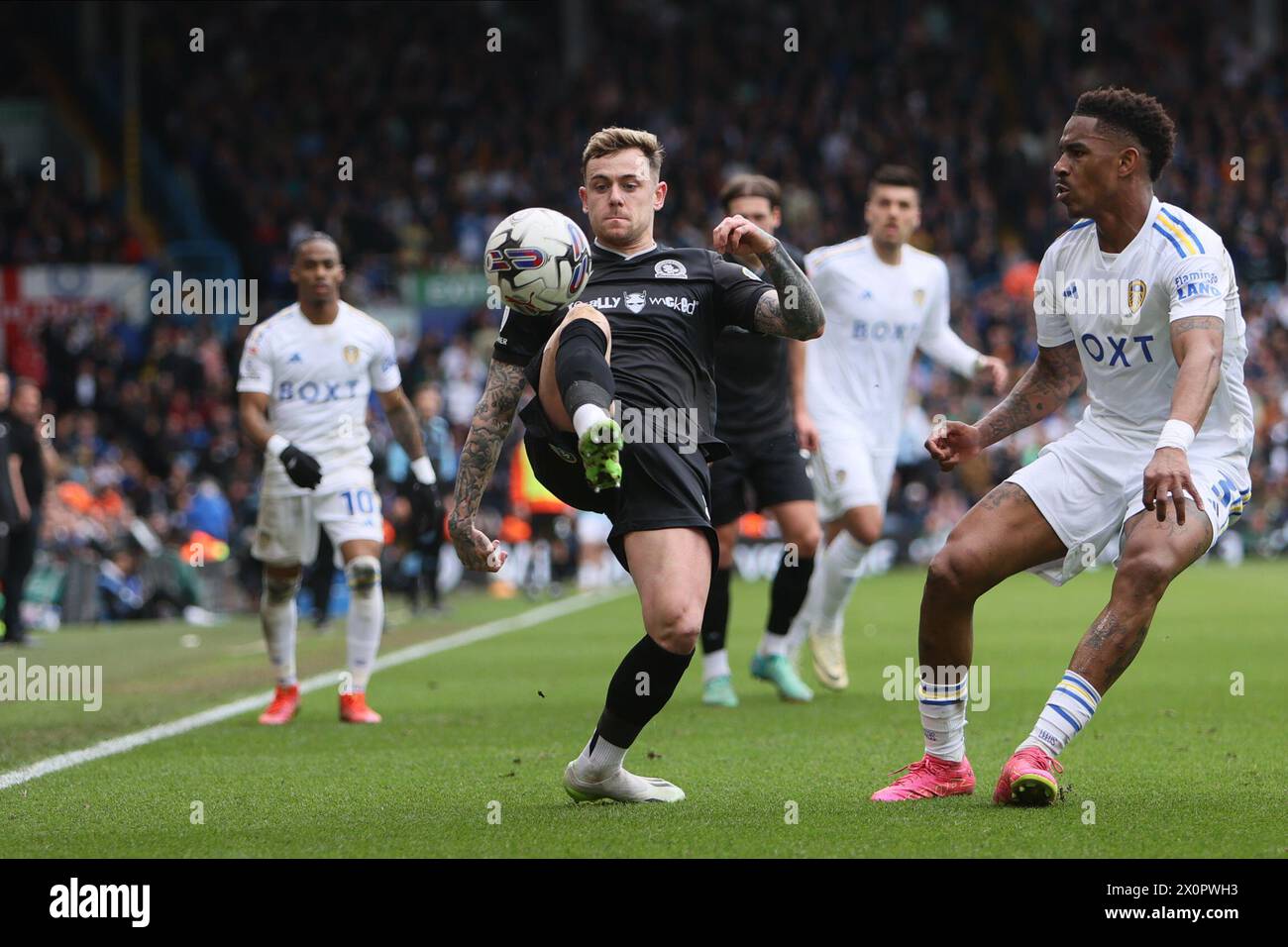 Sammie szmodics 2024 hi-res stock photography and images - Alamy