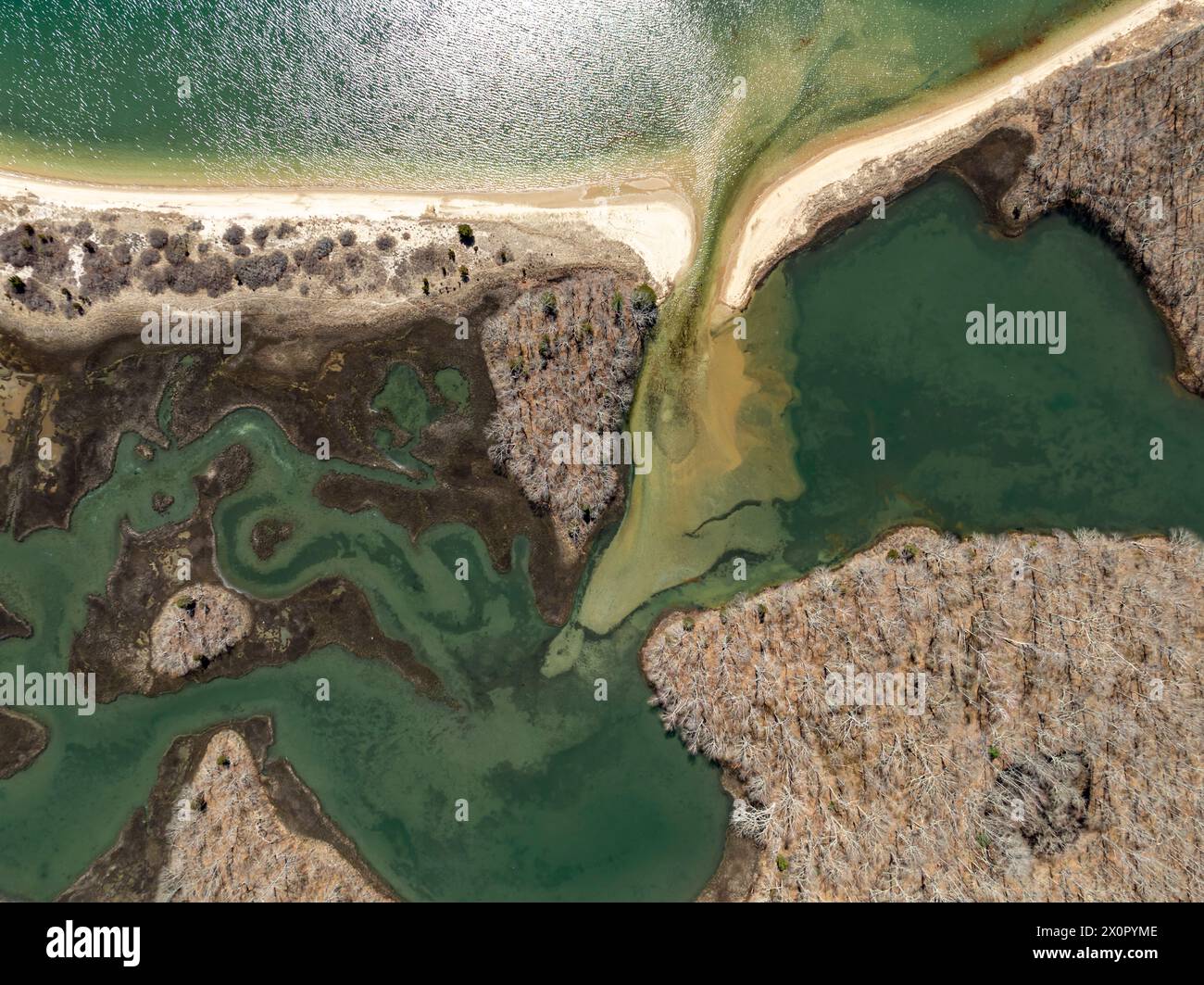 Drone wetlands hi-res stock photography and images - Alamy