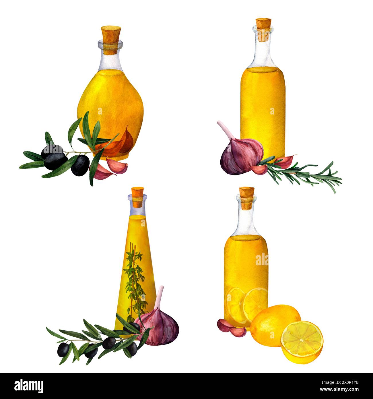 A set of bottles of flavored olive oil with spices, herbs, hot chili ...