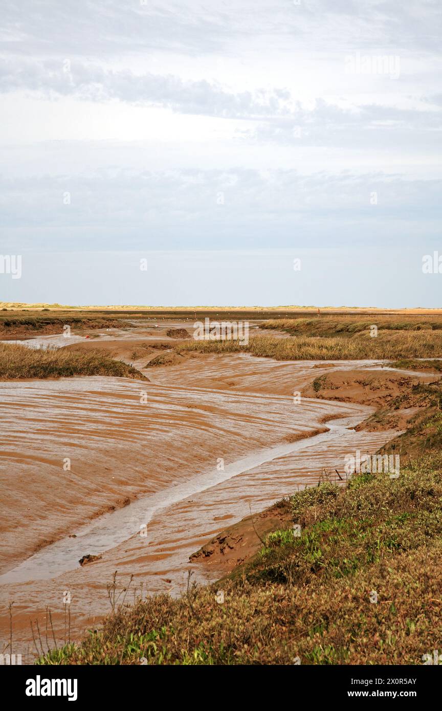 A view of the tidal channel through salt marshes towards the sea at ebb ...