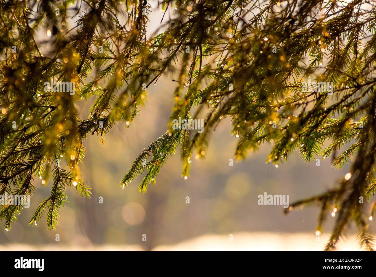 The sun after rain hi-res stock photography and images - Alamy