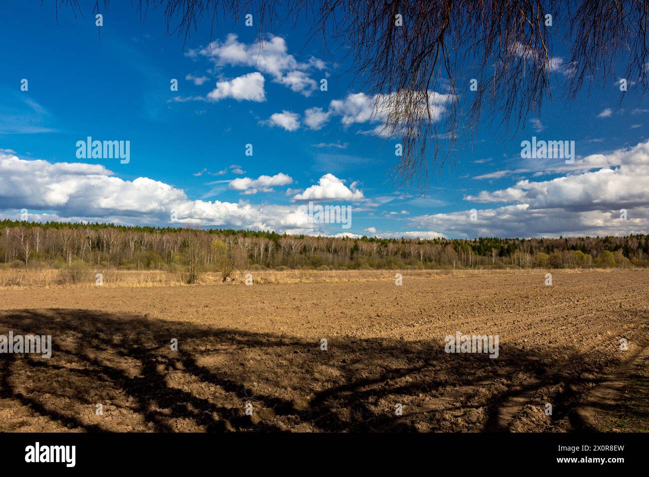 Shadow under the tree hi-res stock photography and images - Alamy