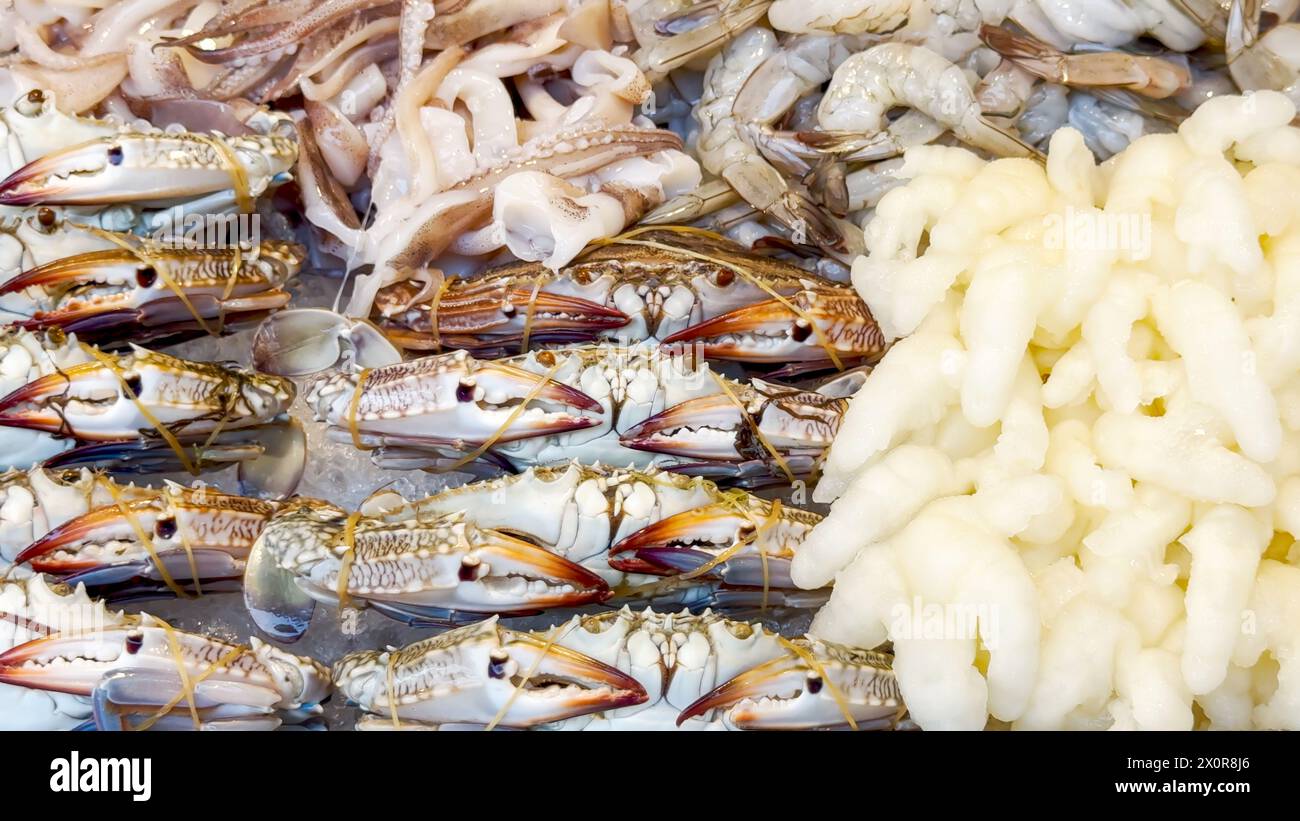 Healthy, fresh seafood display with variety of fish, squid, and ...