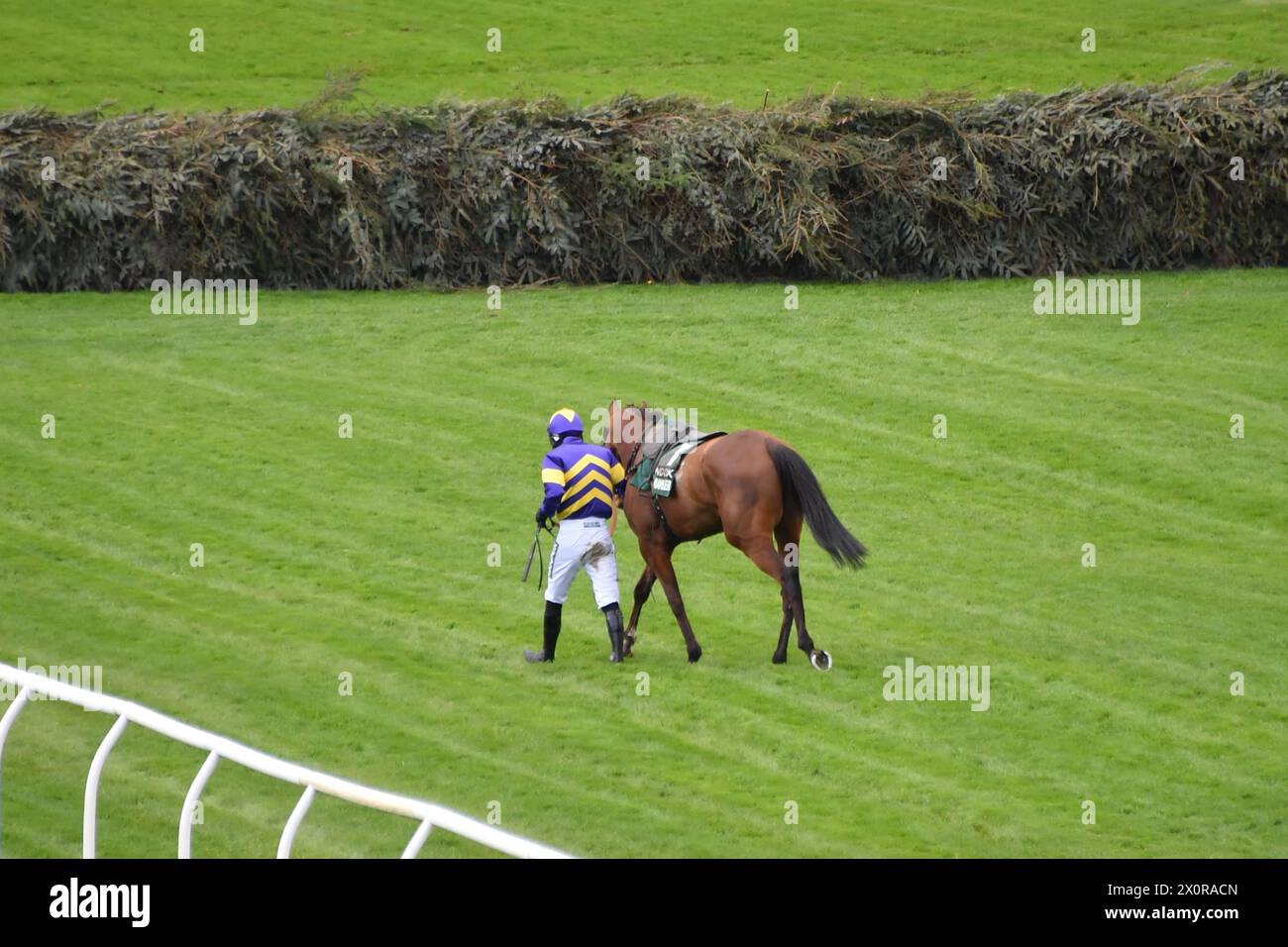 Liverpool, UK, 12th Apr, 2024. Jockey Derek Fox leads Corach Rambler ...