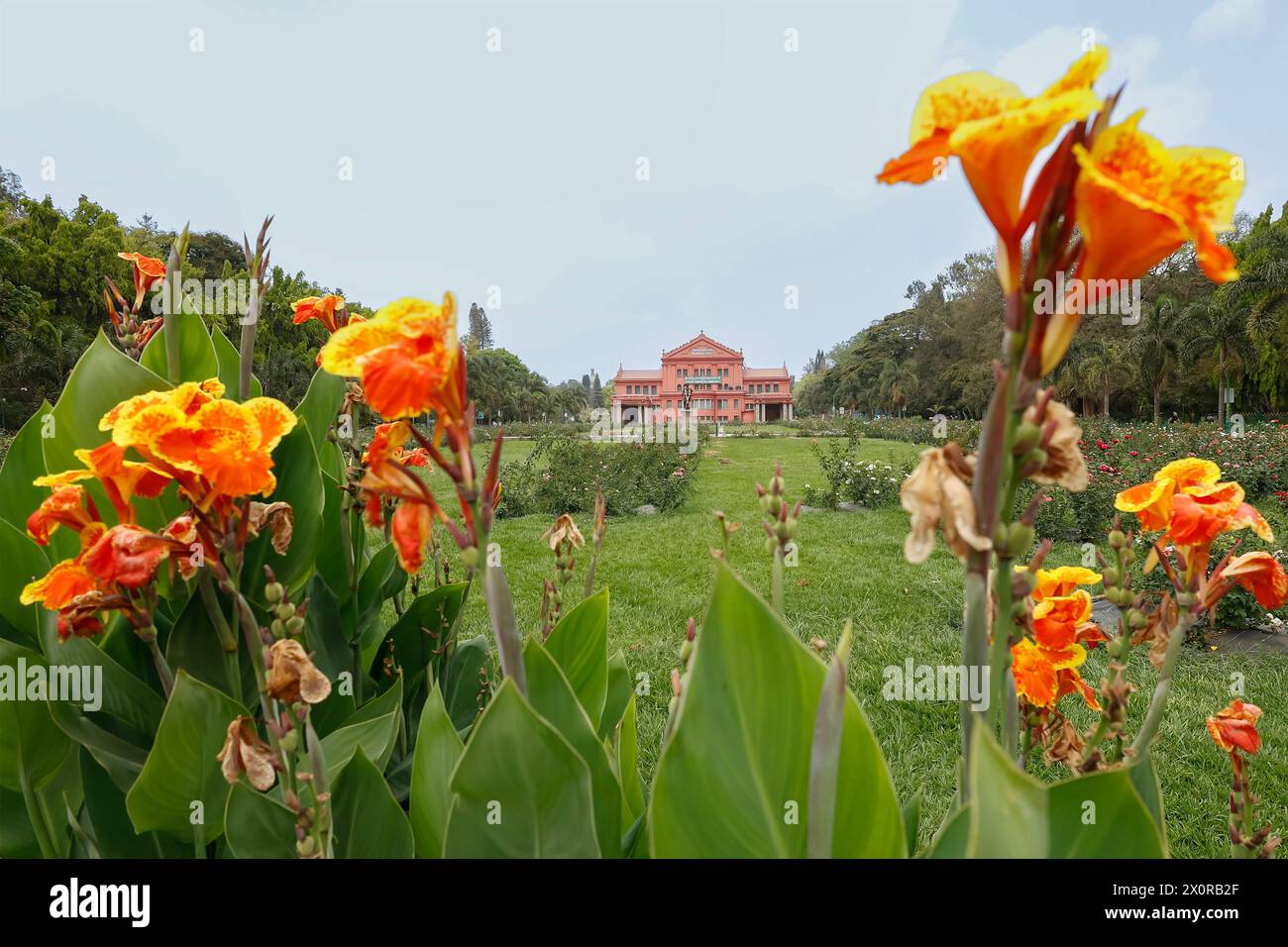 Distant view of the State Central Library in Cubbon Park, Bangalore ...