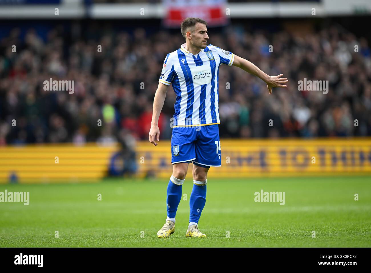 Pol Valentín of Sheffield Wednesday gives instructions during the Sky ...