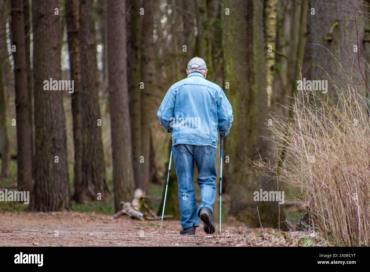 Scandinavian walking in nature, walking with sticks Stock Photo - Alamy