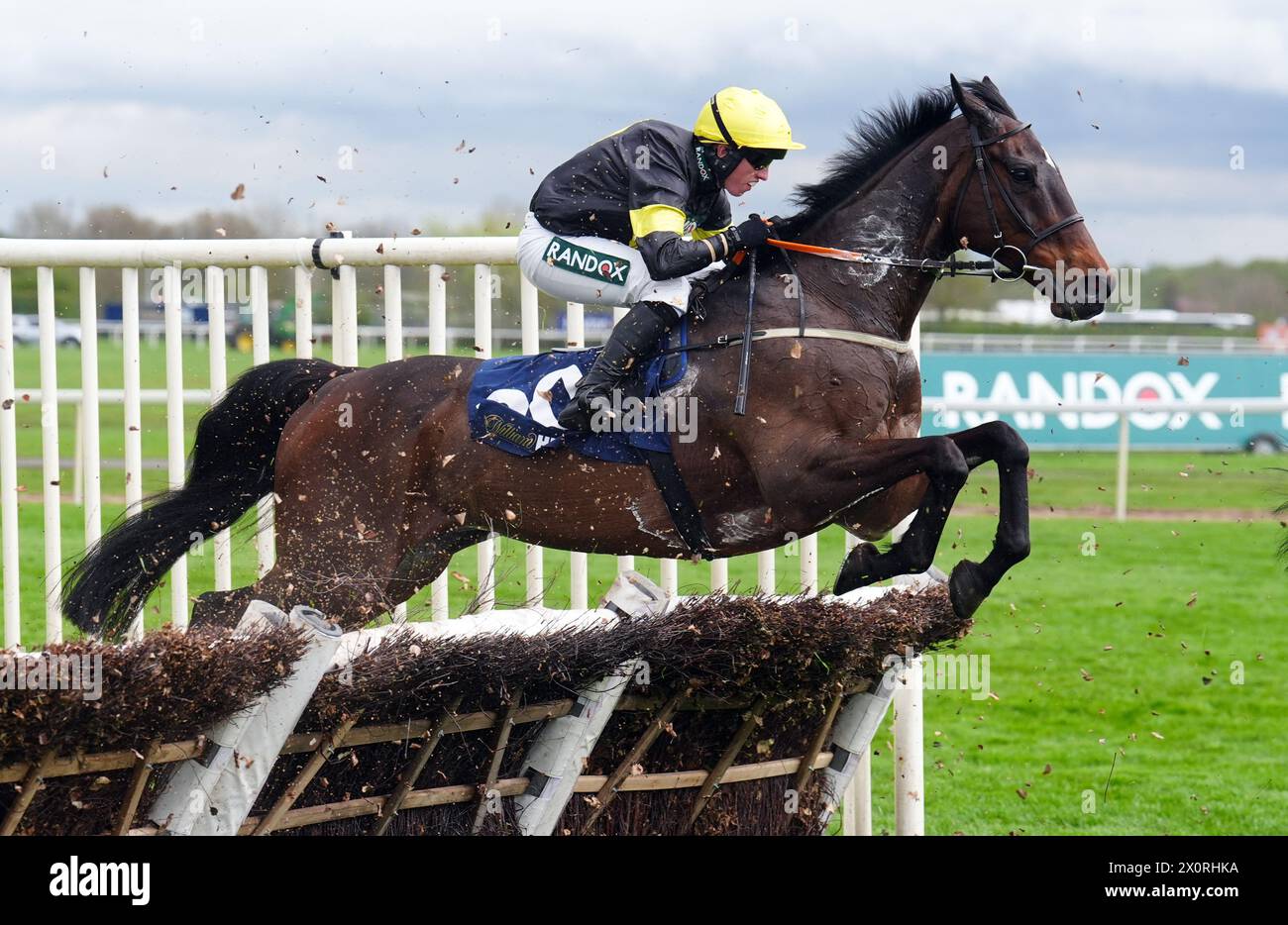 Storm nelson horse hi-res stock photography and images - Alamy