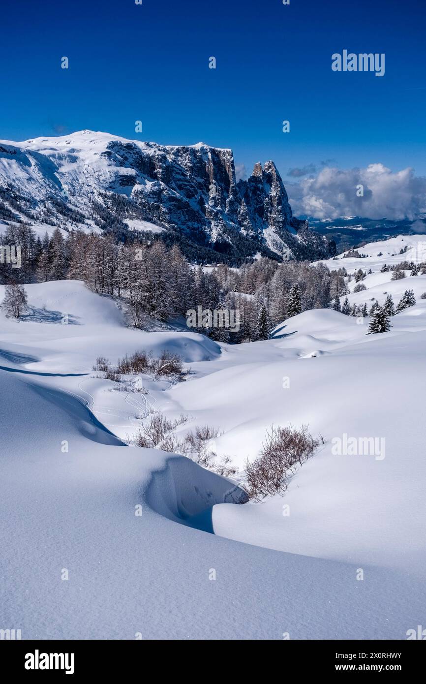 Hilly agricultural countryside with snow-covered pastures and trees at ...