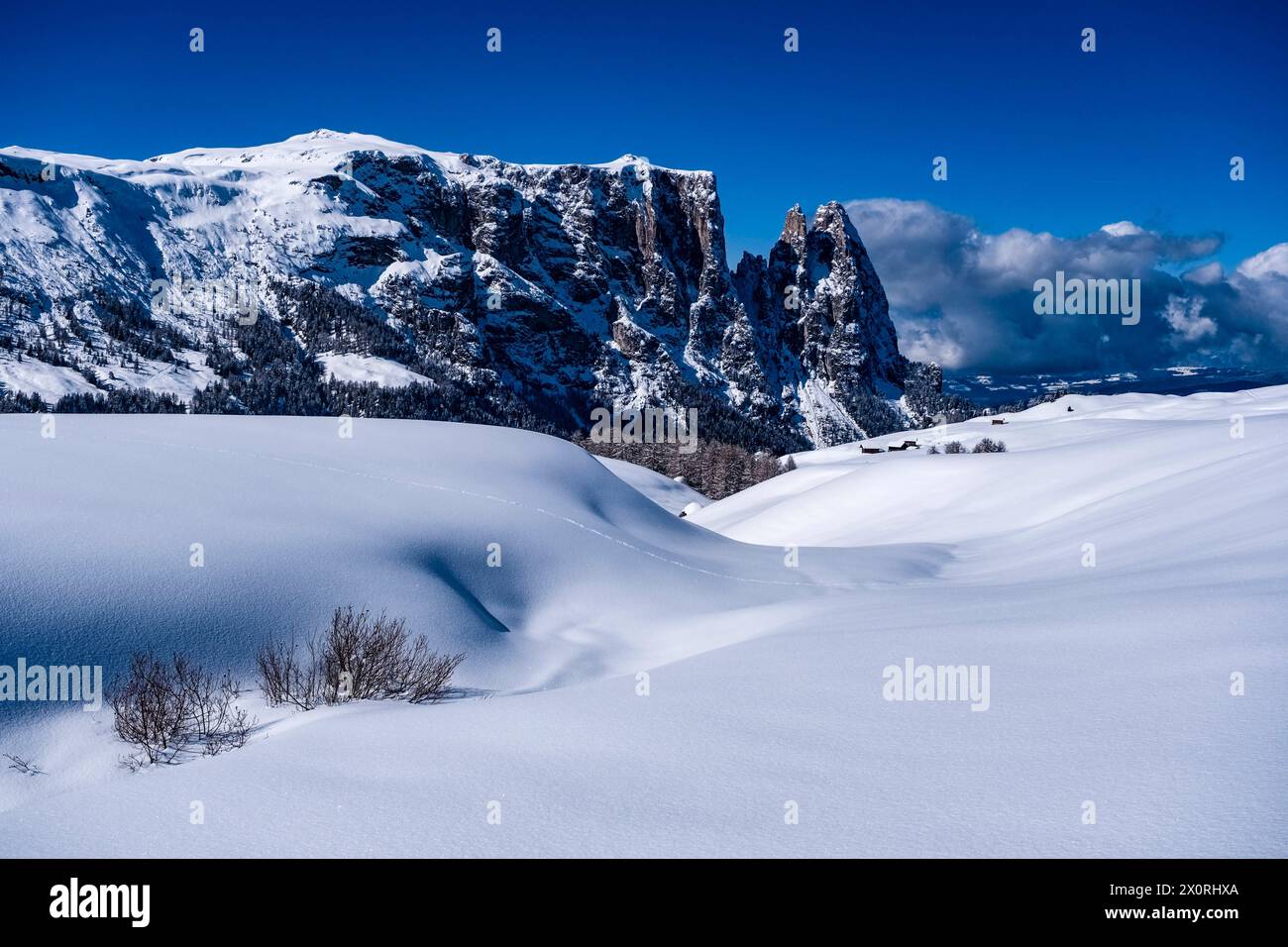 Hilly agricultural countryside with snow-covered pastures and trees at ...
