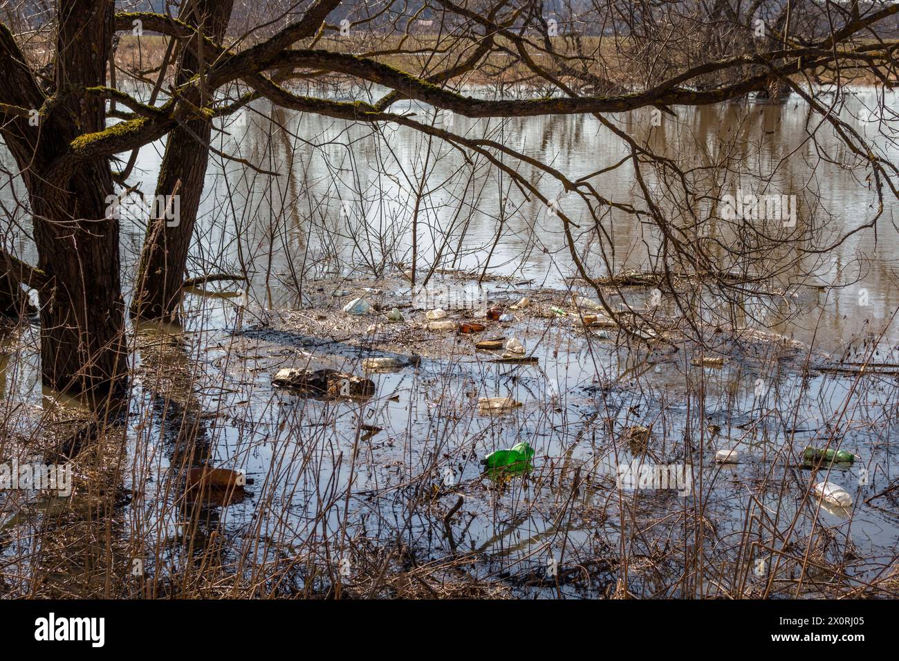 Plastic trash on the river bank floating during the spring flood in ...