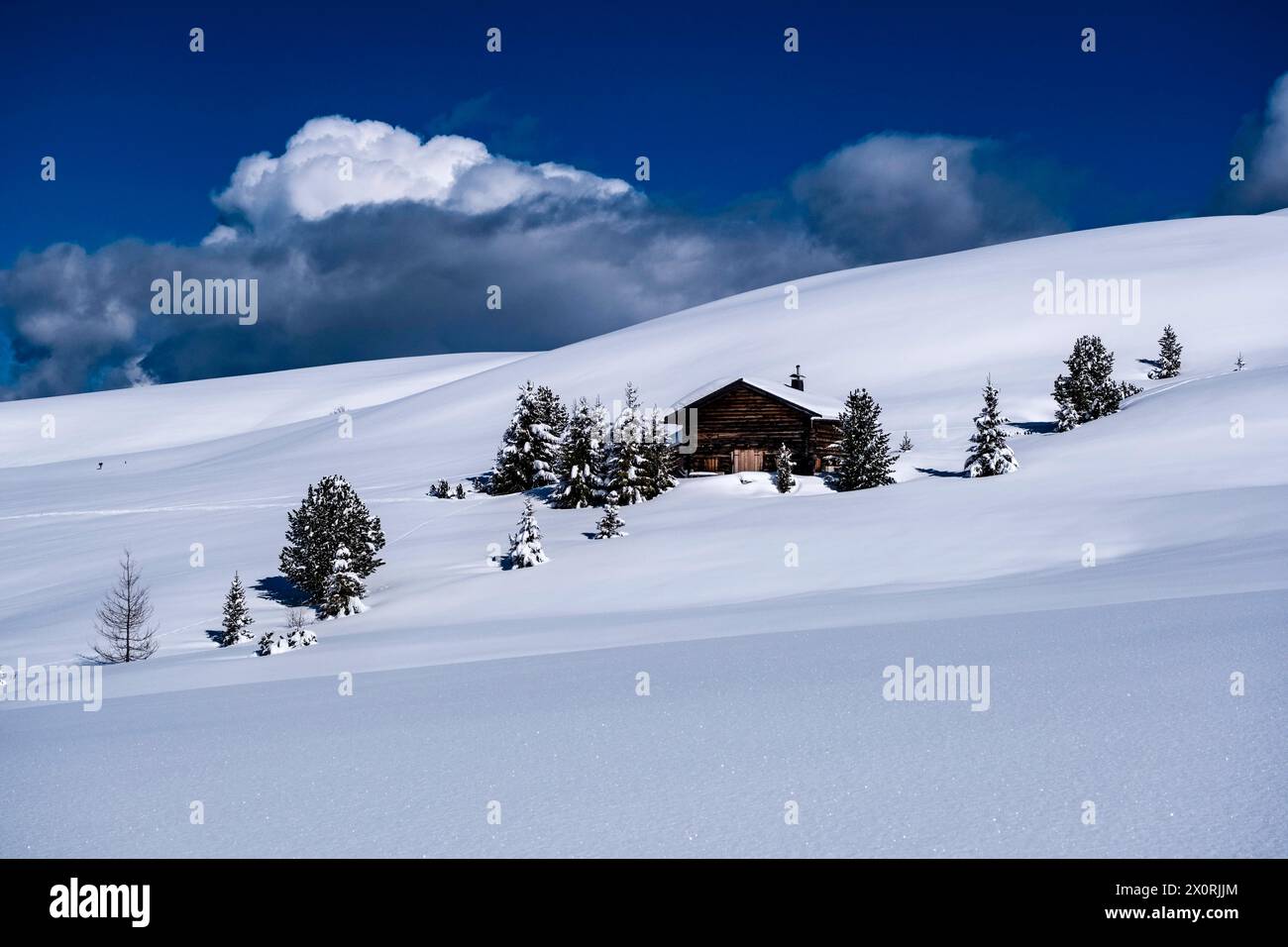 202 eis hi-res stock photography and images - Alamy